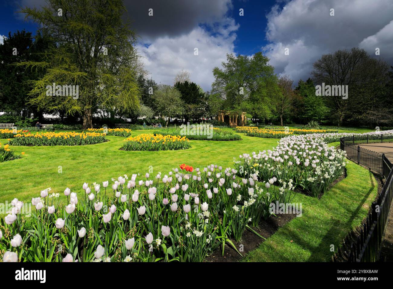 Spring flower displays in Jephson Gardens, Leamington Spa town ...