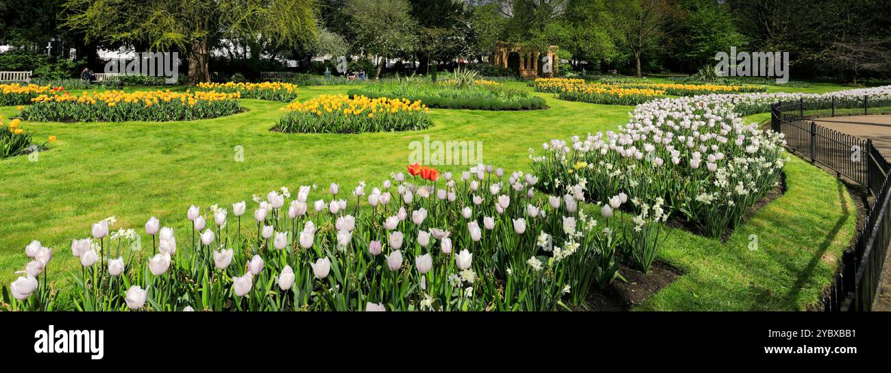 Spring flower displays in Jephson Gardens, Leamington Spa town ...