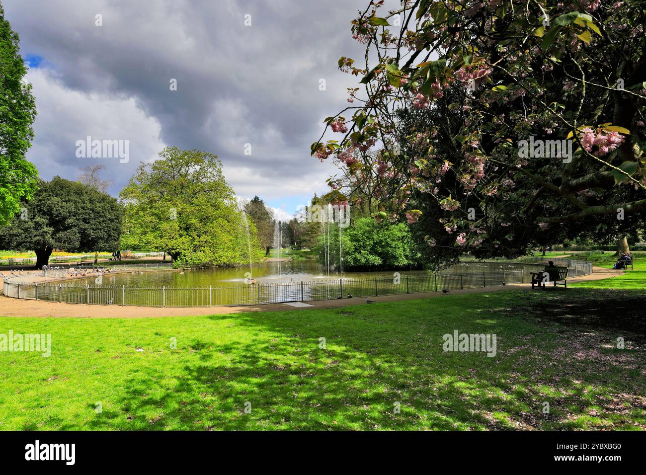 Spring flower displays in Jephson Gardens, Leamington Spa town ...