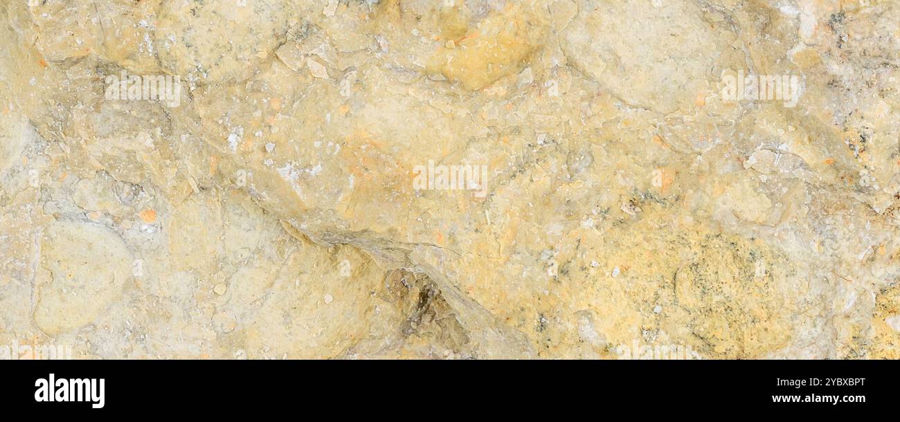 light limestone with interesting texture visible. background Stock ...