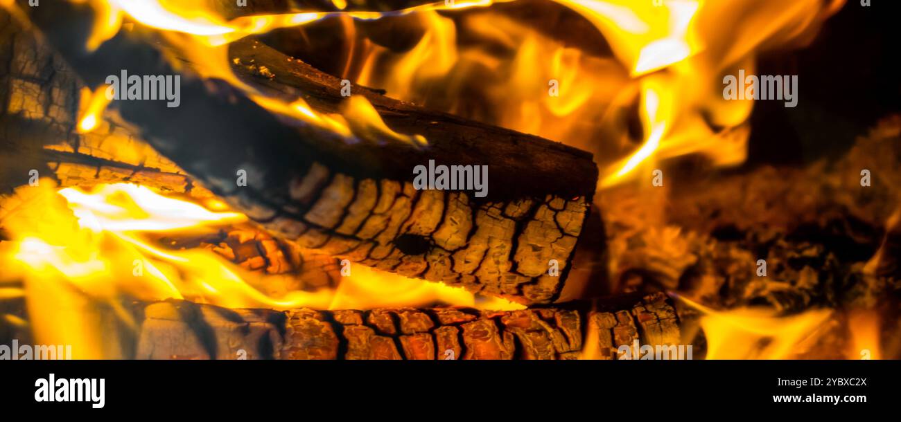 Fire flame of a tree. Burning tree Stock Photo - Alamy