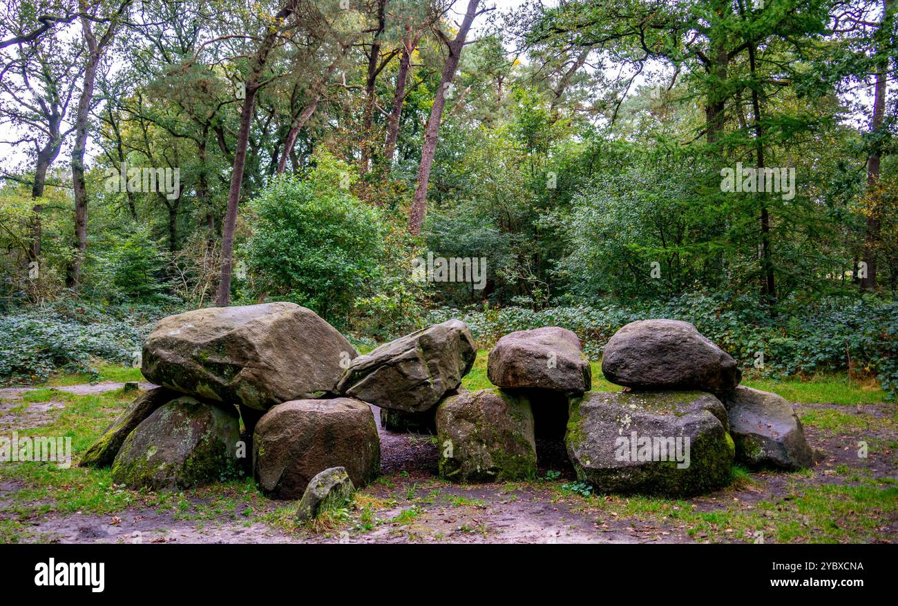 Neolithic monument in the forest in Drenthe, Netherlands Stock Photo ...