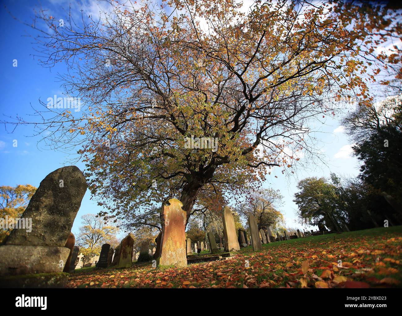Autumn 2024 hi-res stock photography and images - Alamy