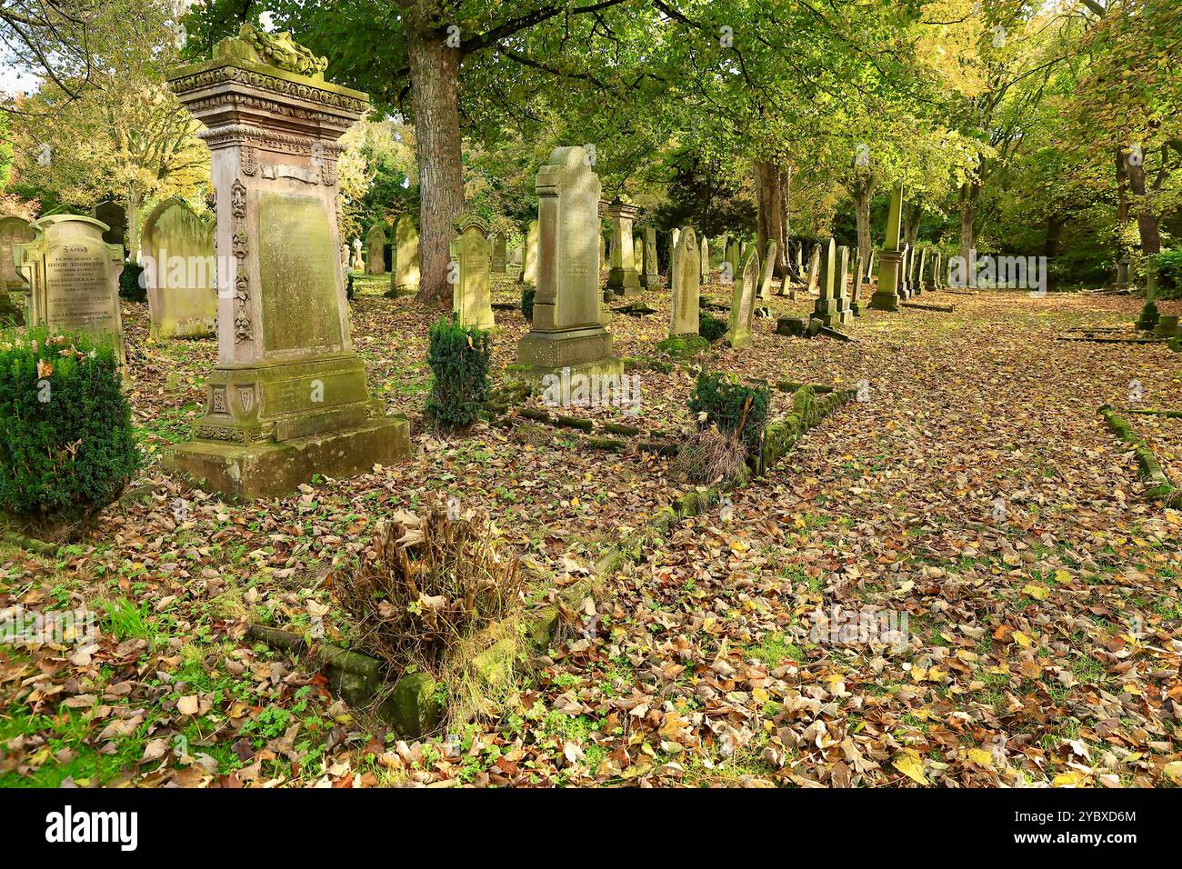 Autumn leaves in graves hi-res stock photography and images - Alamy