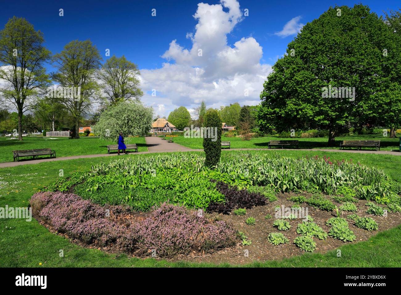 View of flowers in St Nicholas Park, Warwick town, Warwickshire ...