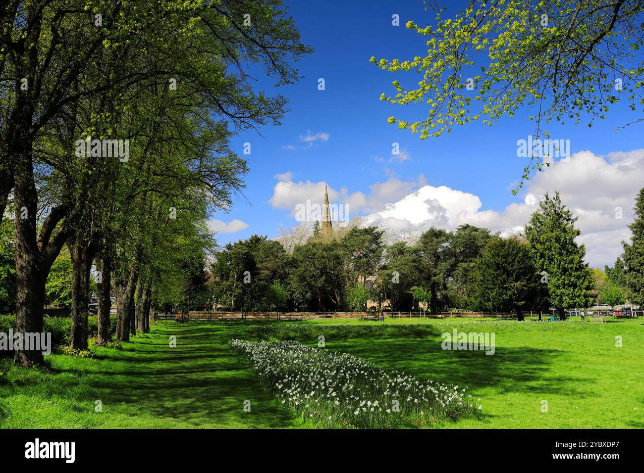 View of flowers in St Nicholas Park, Warwick town, Warwickshire ...