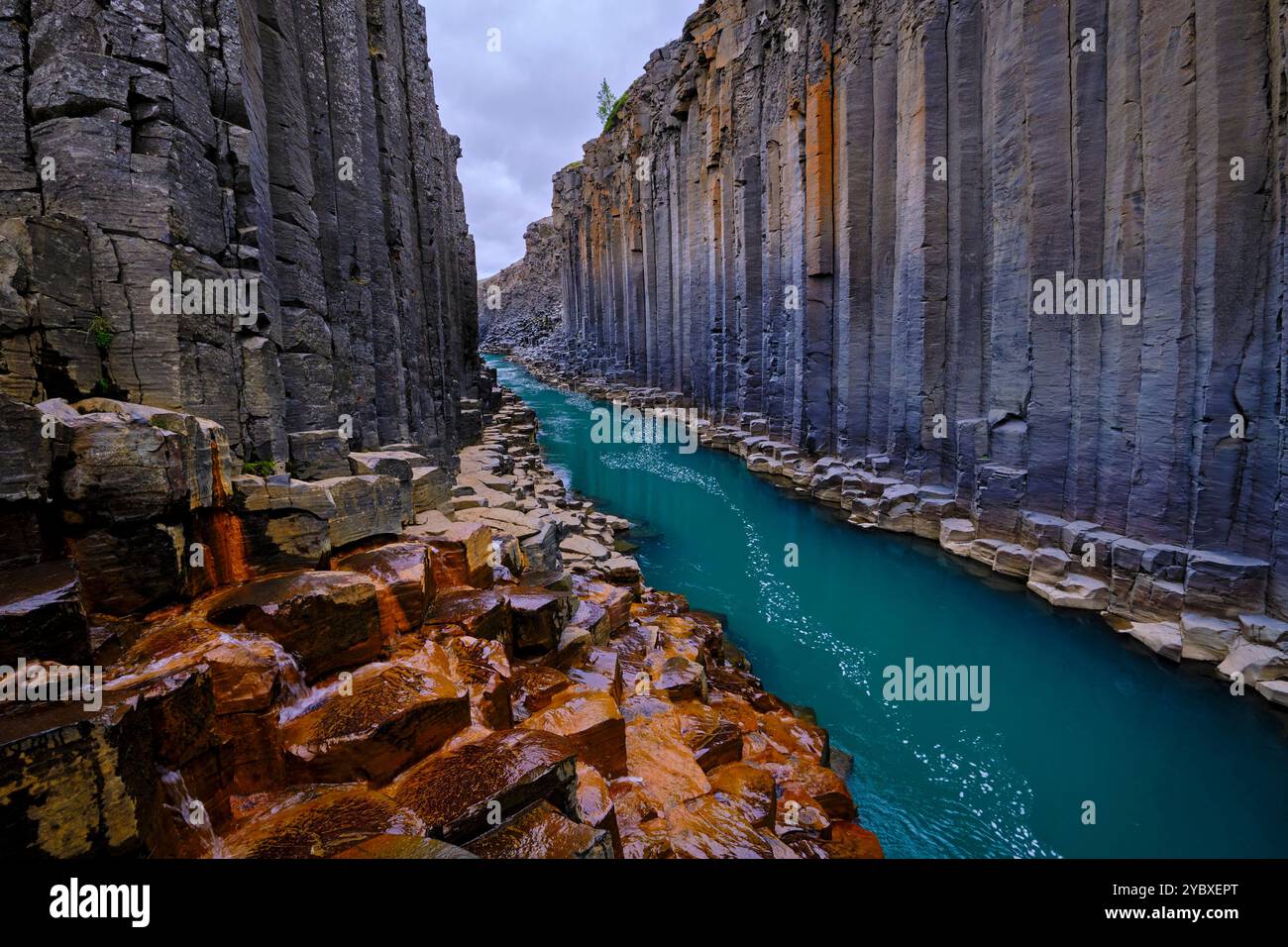 Iceland, Austurland province, Egilsstadi, Studlagil Canyon, basalt ...