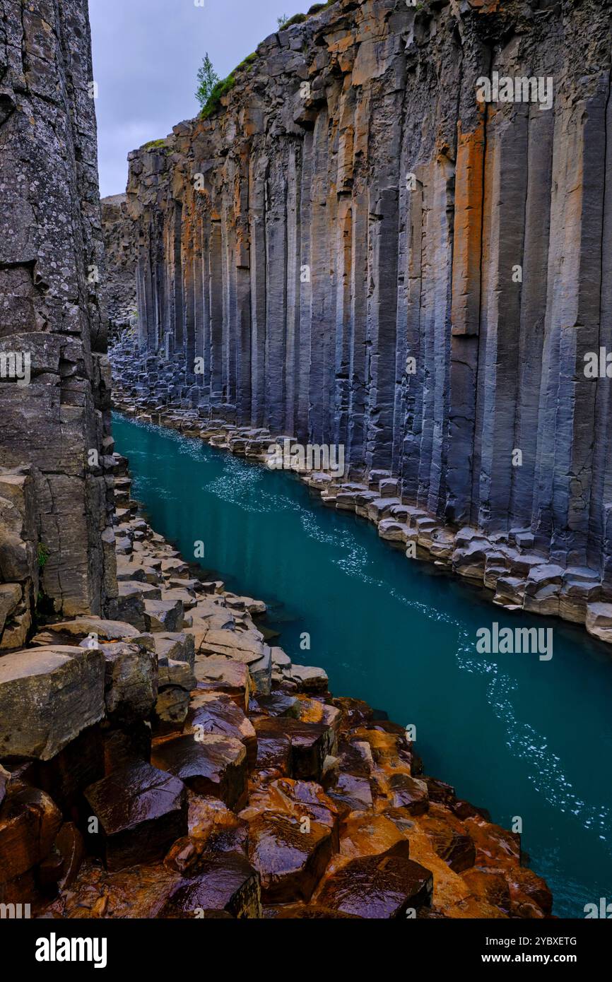 Iceland, Austurland province, Egilsstadi, Studlagil Canyon, basalt columns Stock Photo - Alamy