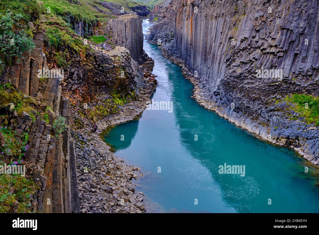 Iceland, Austurland province, Egilsstadi, Studlagil Canyon, basalt columns Stock Photo - Alamy