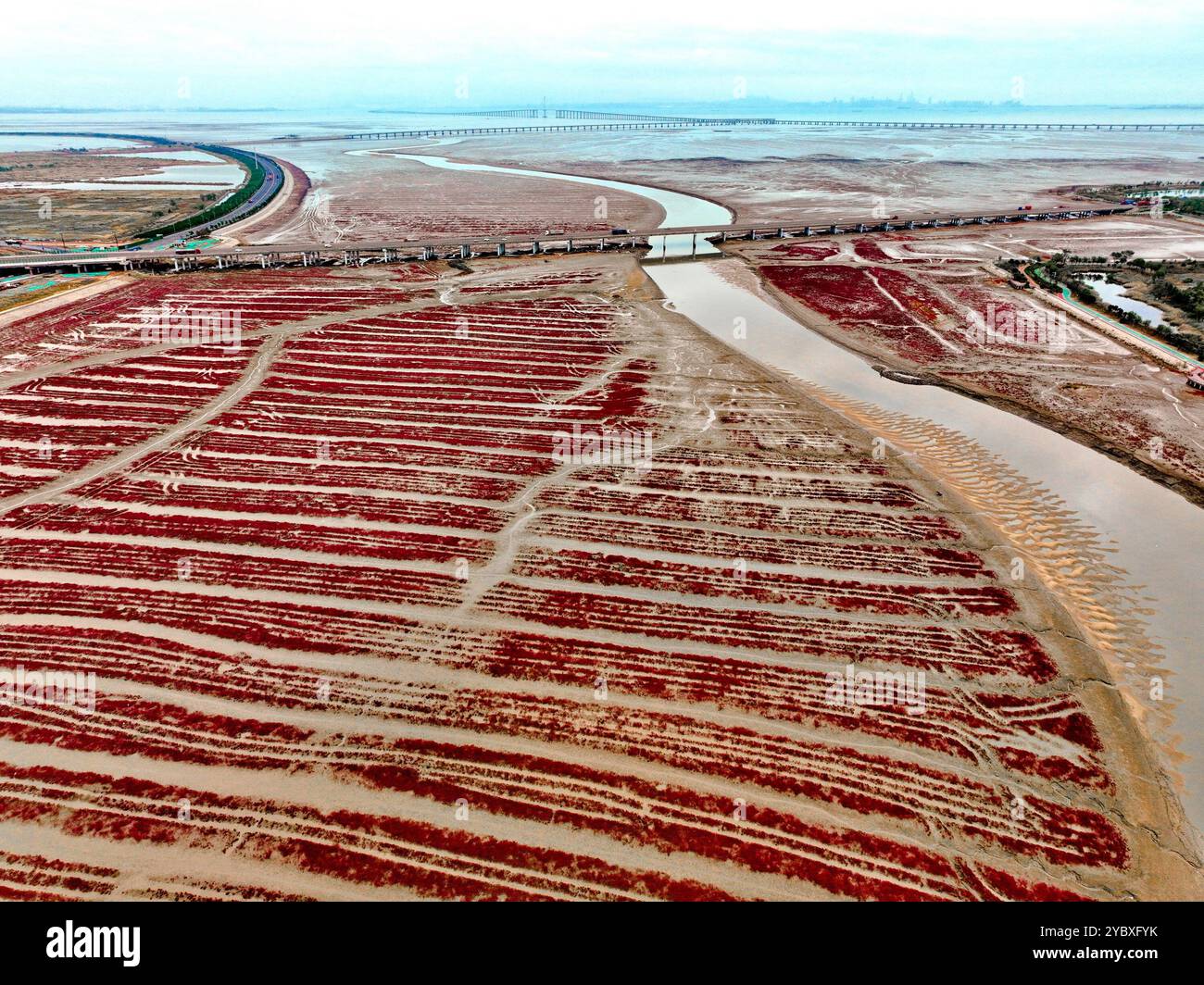 Yanghe estuary hi-res stock photography and images - Alamy
