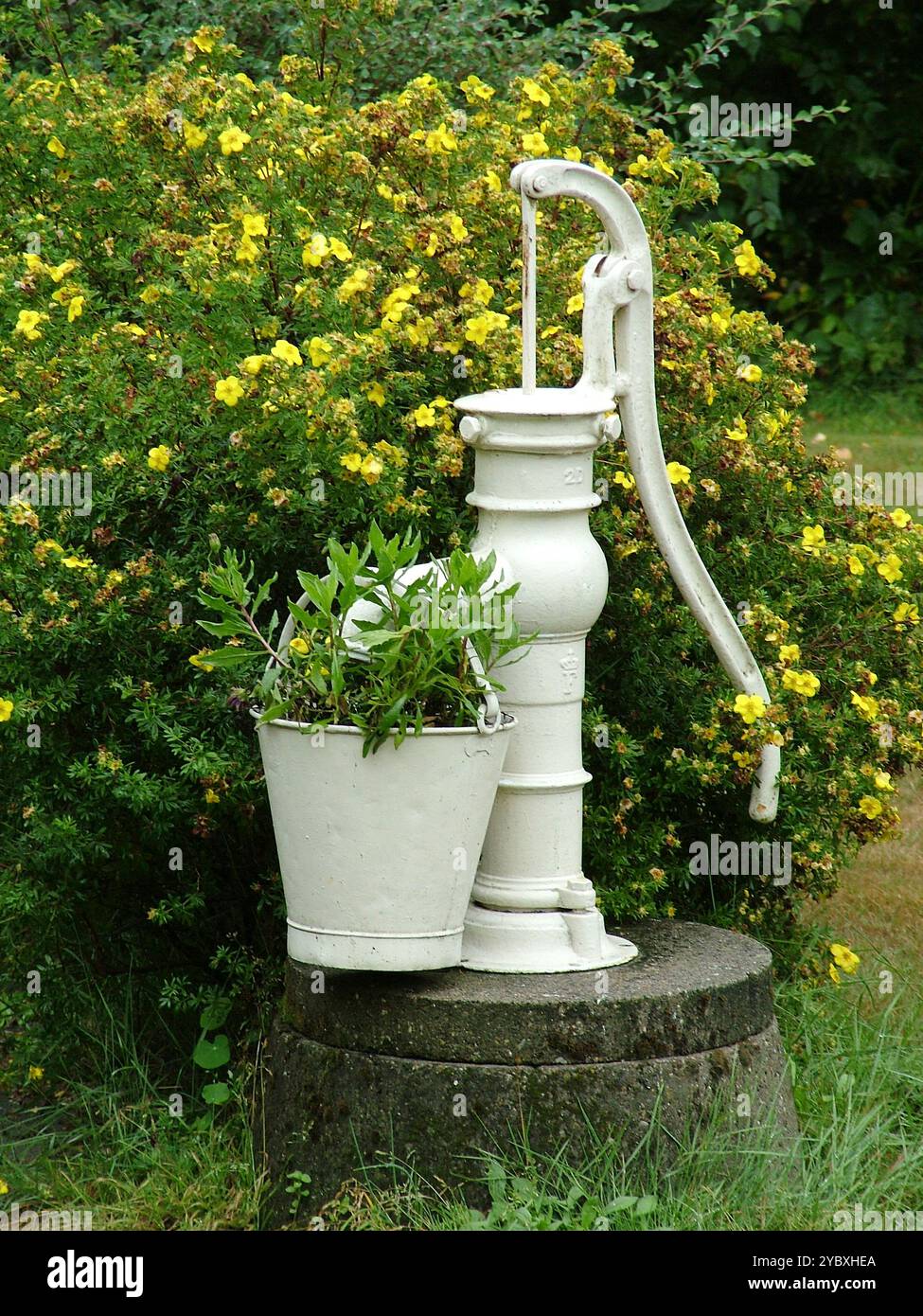 Water pump in the garden Stock Photo - Alamy