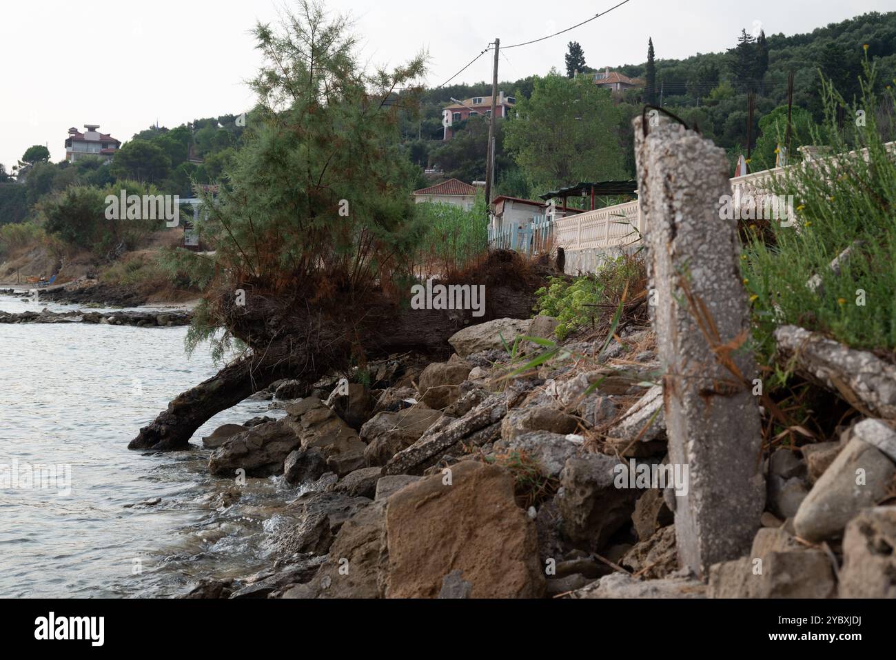 Coastal erosion takes a heavy toll on structures and vegetation. This ...