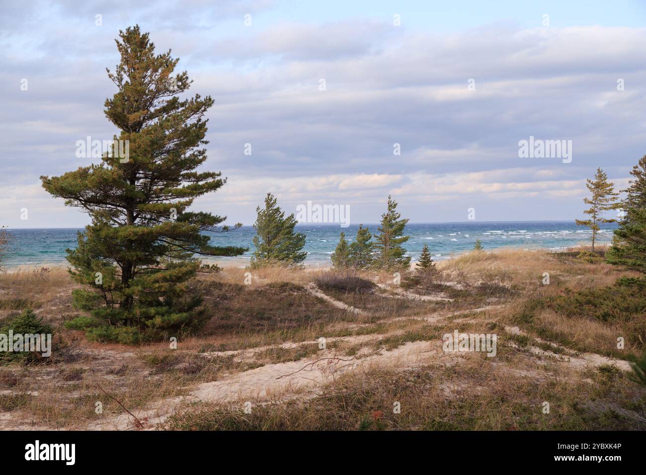 Wilderness state park Stock Photo - Alamy