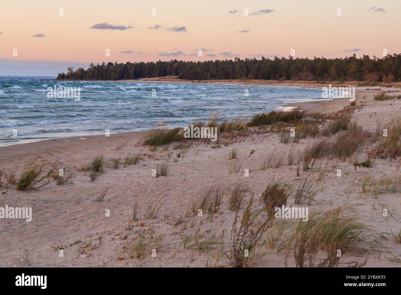 Wilderness state park Stock Photo - Alamy