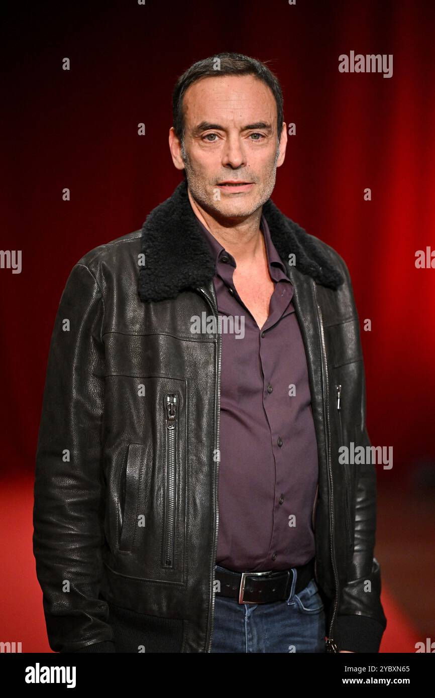 Lyon, France. 20th Oct, 2024. Anthony Delon attending the tribute to ...