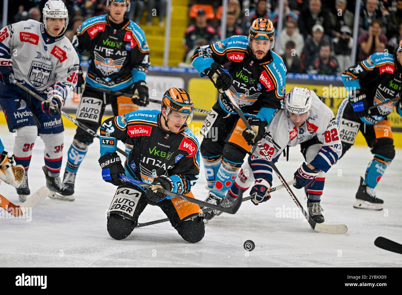 Linz, Austria. 20th Oct, 2024. LINZ, AUSTRIA -OCTOBER 20: Csanad Erdely ...