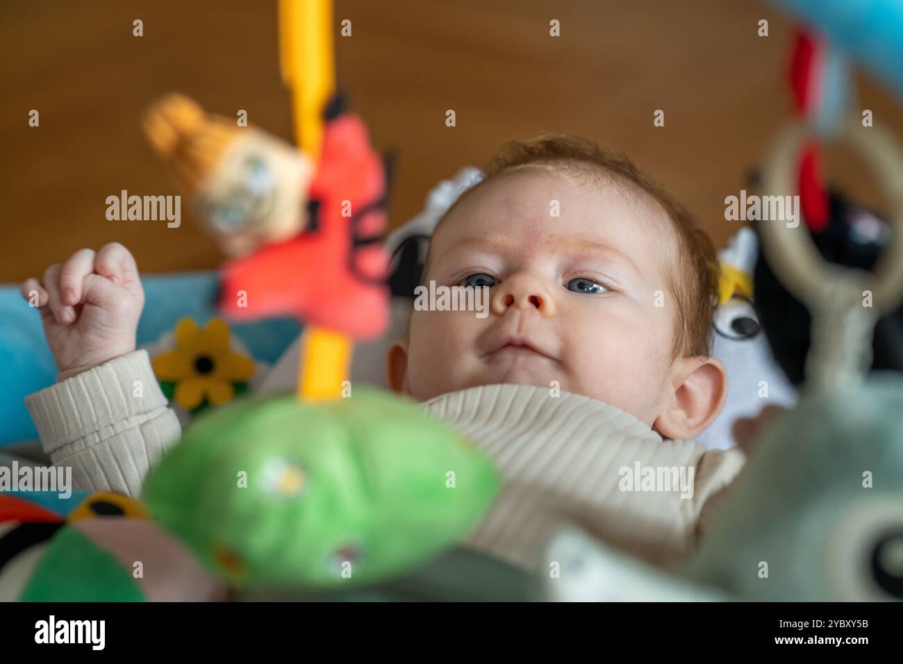 Exploration exploring area hi-res stock photography and images - Alamy