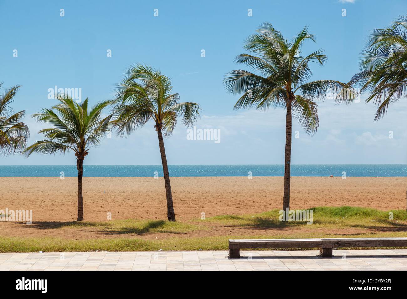 A group of Palm trees atf Meireles beach at the Atlantic Ocean in ...