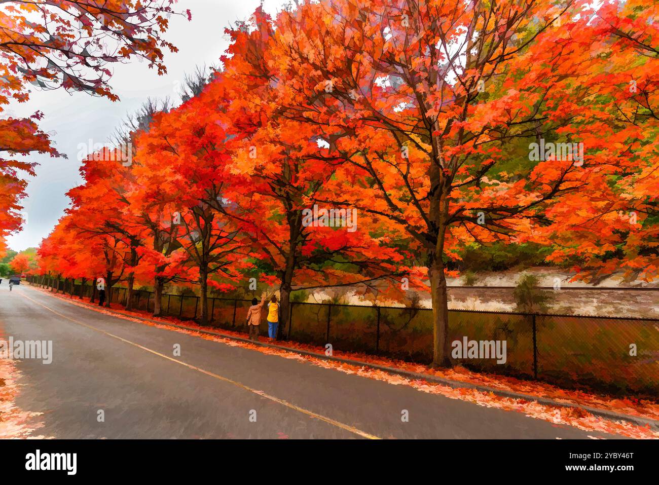 Illustration of Tres with brilliant fall colors at Coulon Park in Renton, Washington Stock Photo ...