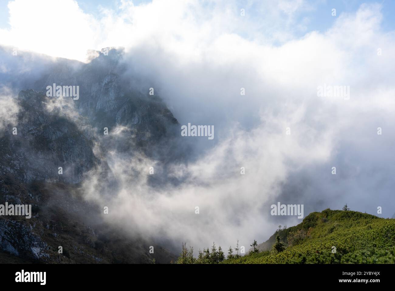Mountain peaks shrouded in thick mist with lush green shrubs and rocky ...