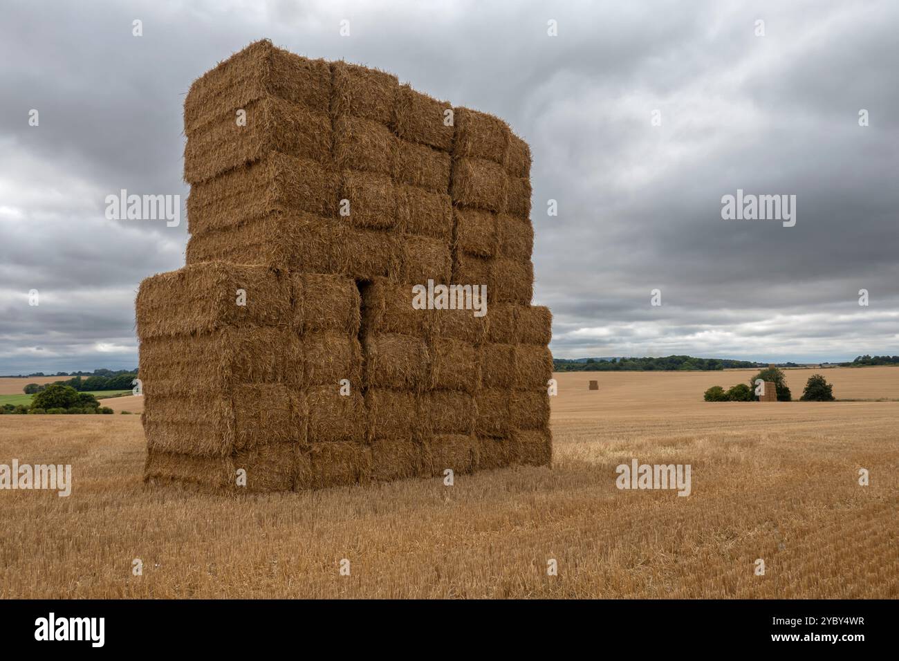 Stacked hay bales in harvested wheat field under grey sky, Berkshire ...