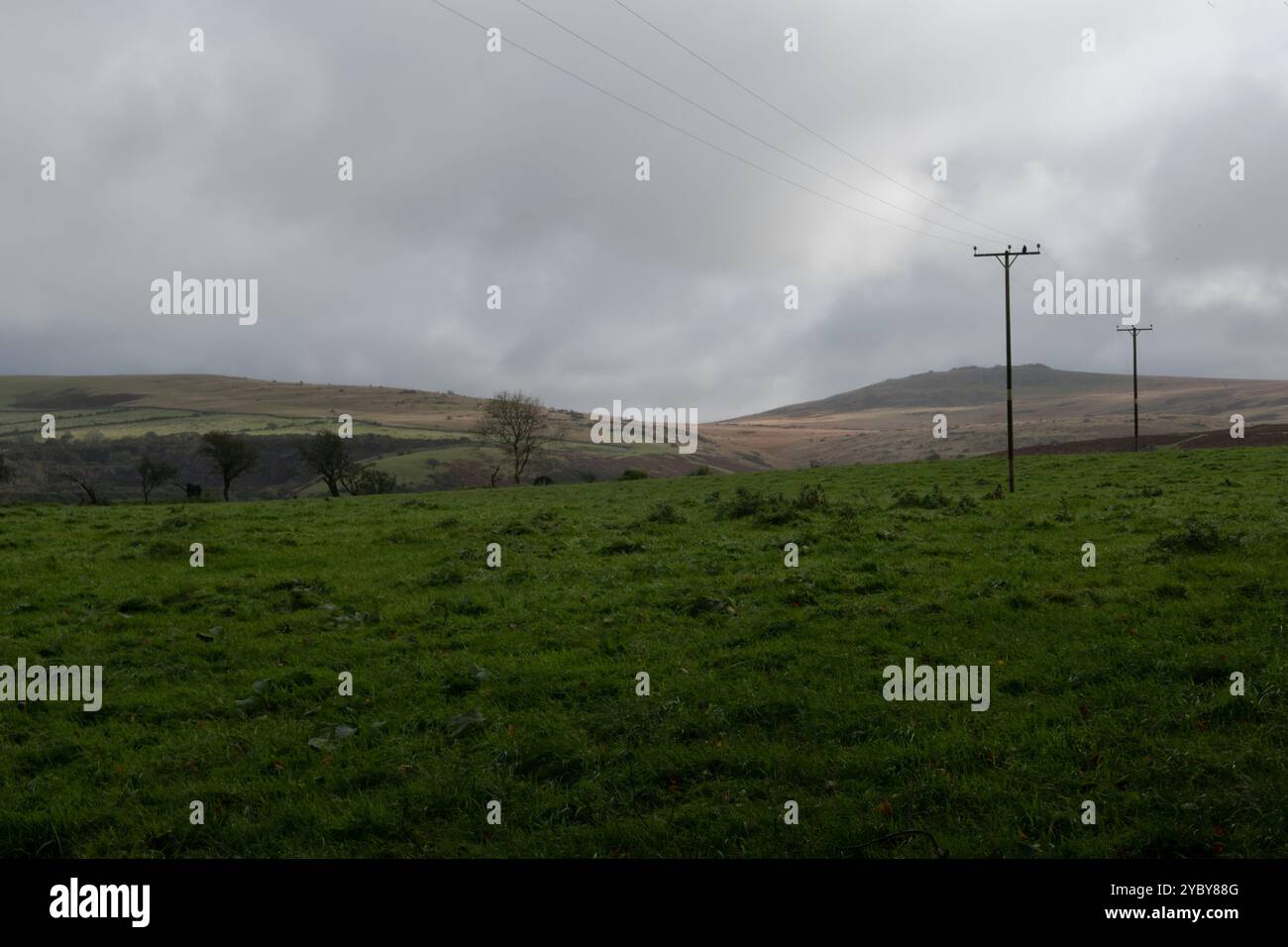 West Mill Tor, Dartmoor, Devon, England Stock Photo - Alamy