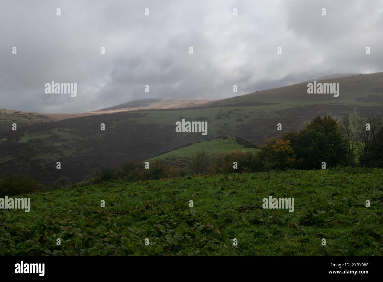 The Northern Slopes of Dartmoor from Meldon, Devon, England Stock Photo ...
