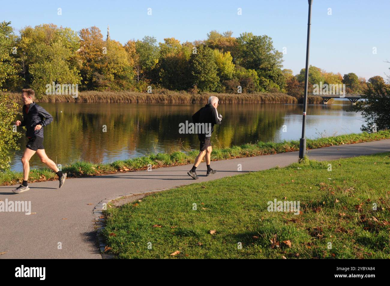 Copenhagen/ DenmarK/20 October 2024/ Yellow and brown leaves shows ...