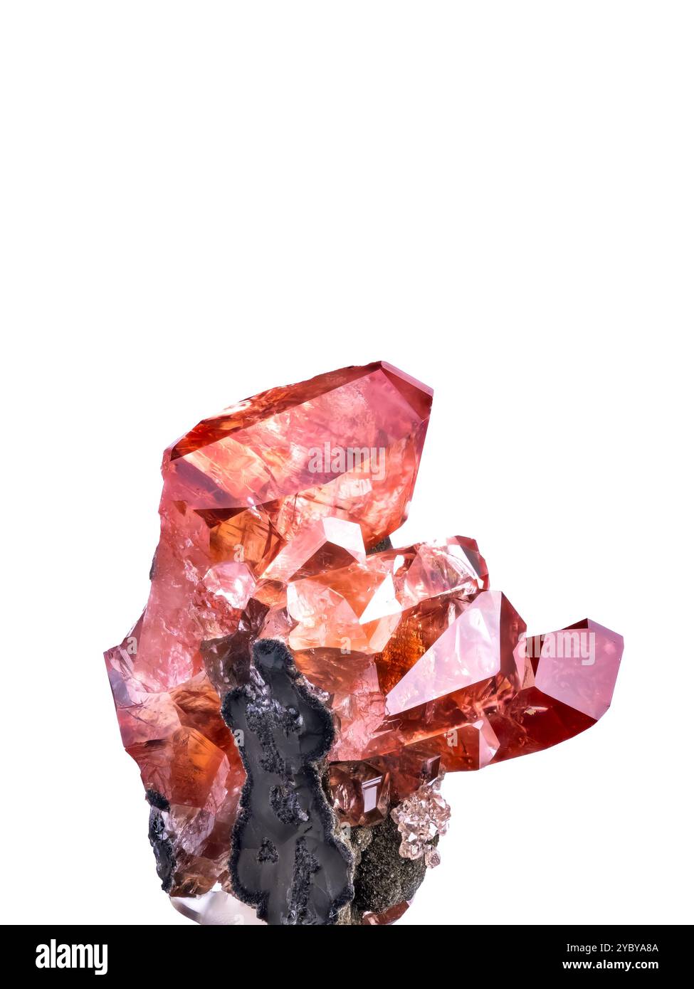 Red gemmy Rhodochrosite. Specimen from Potosí Mine, Francisco Portillo ...