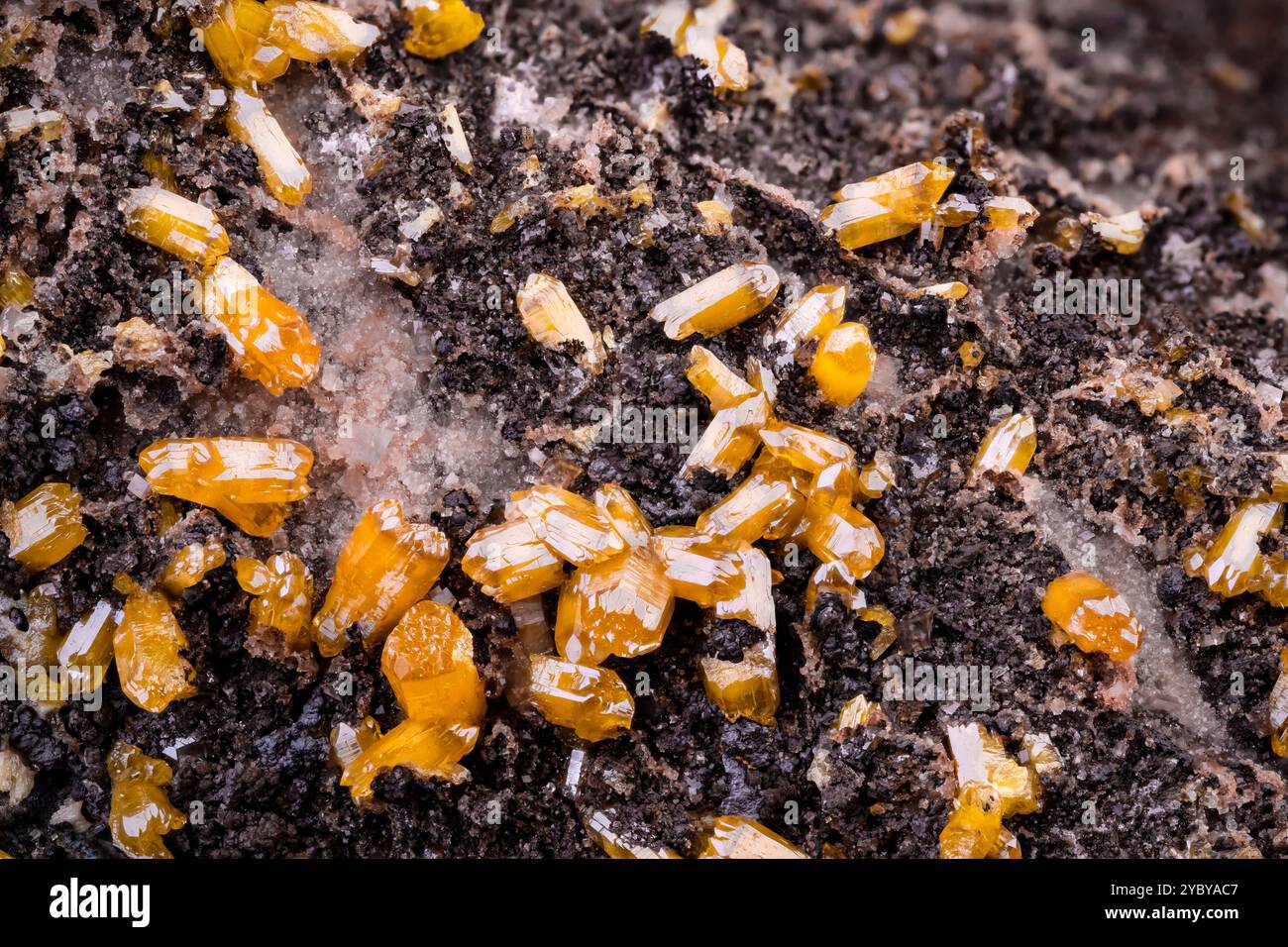 Yellow Mimetite crystals on Dolomite. Specimen from Potosí Mine, Aquiles Serdán, Mexico. Micro ...