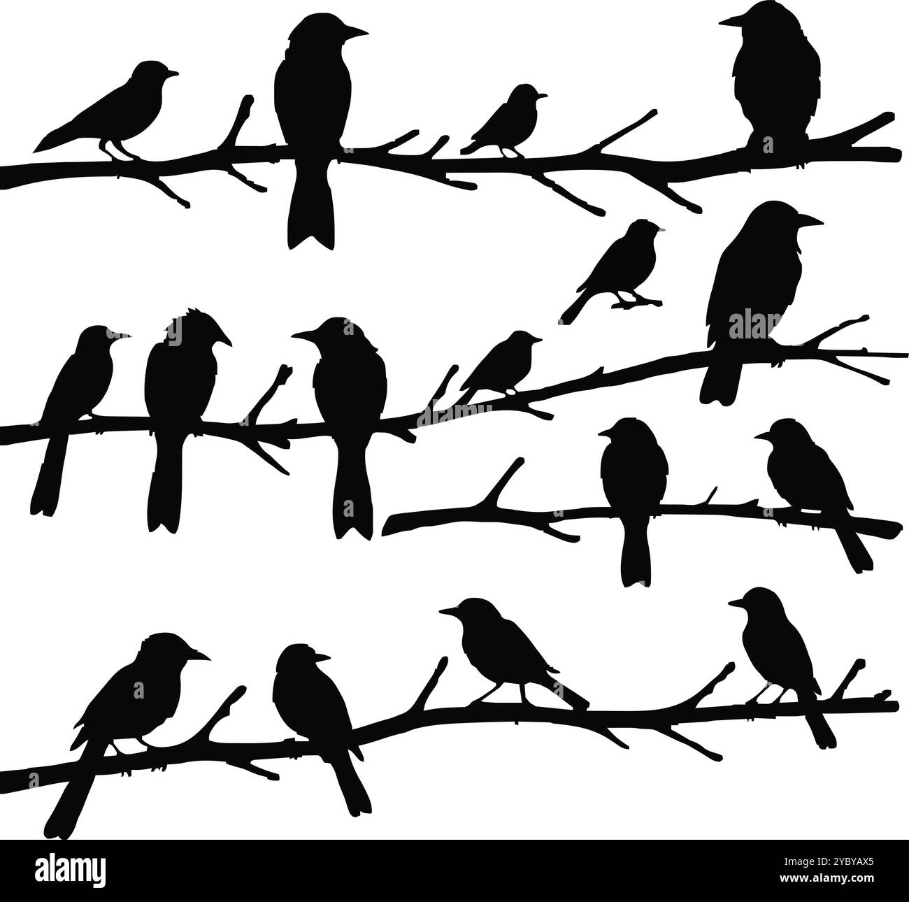 Set of Birds on branch silhouette Stock Vector Image & Art - Alamy Set of Birds on branch silhouette Stock Vector Image & Art - Alamy