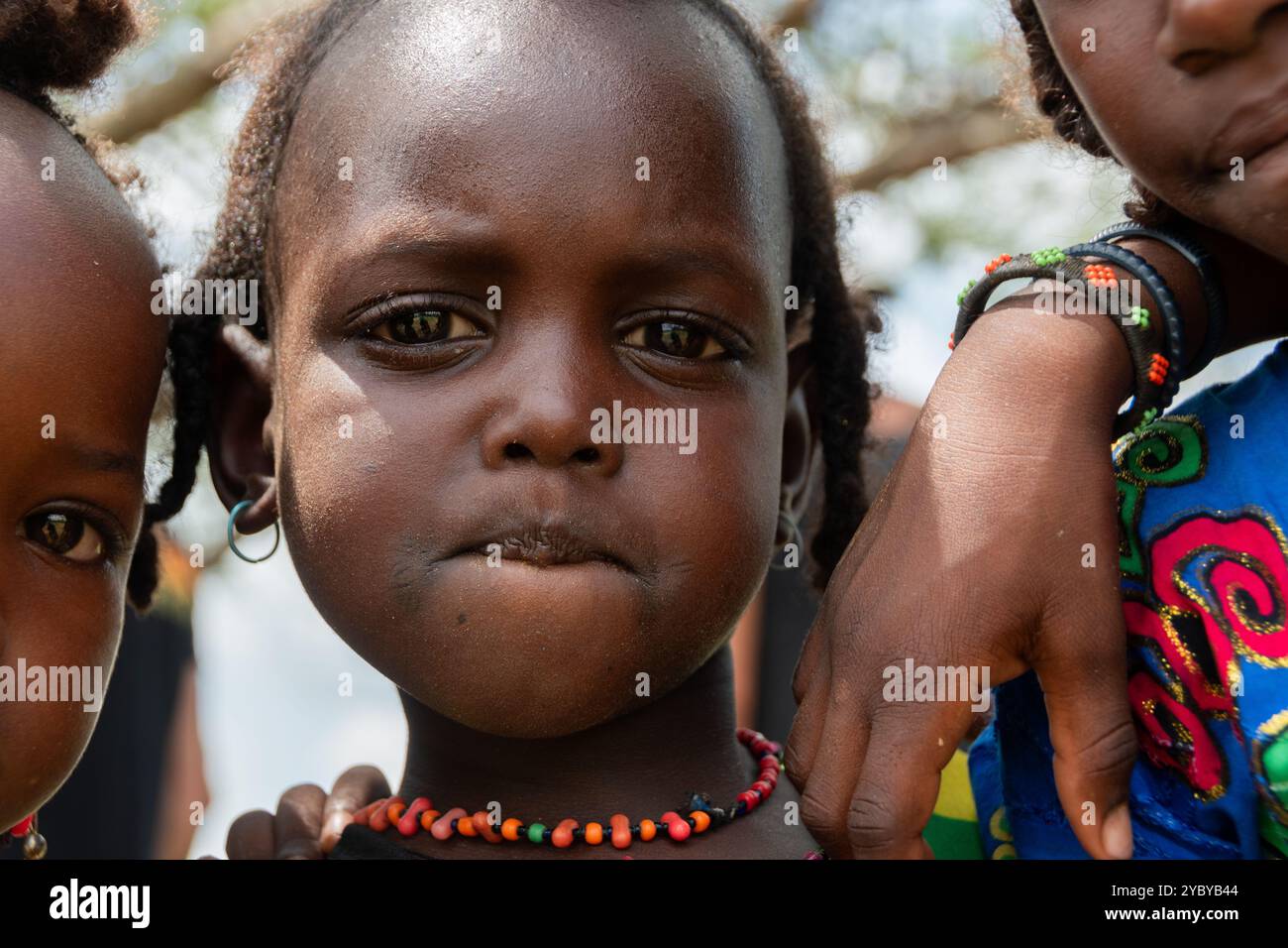 Gerewol of wodaabe tribe in Chad Stock Photo - Alamy