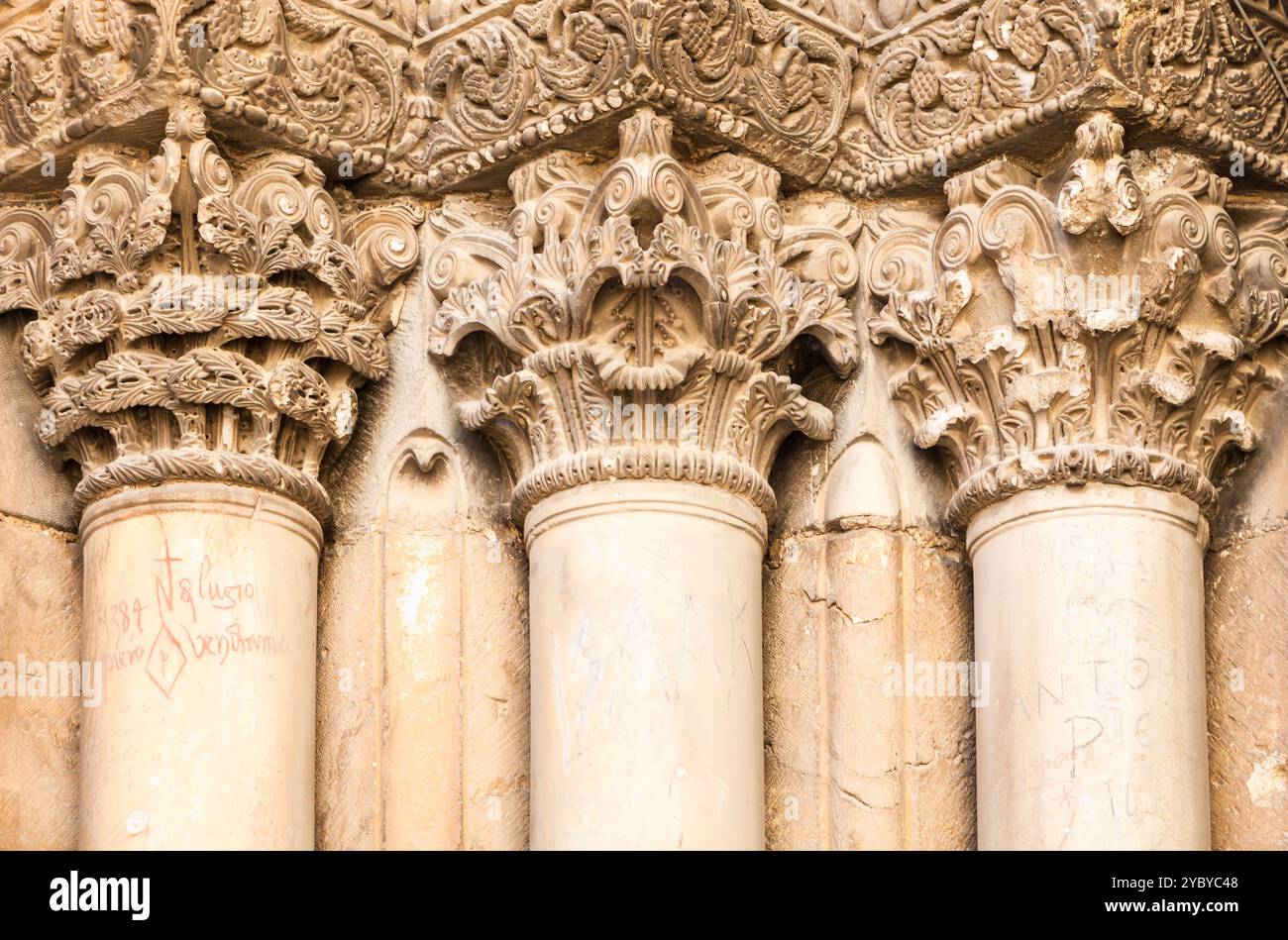 This image features a detailed closeup view of a row of beautiful ...