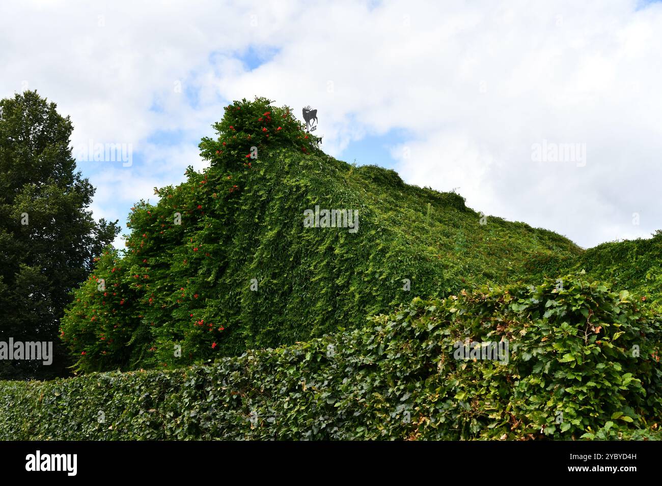 Roof tiles tree branches hi-res stock photography and images - Alamy