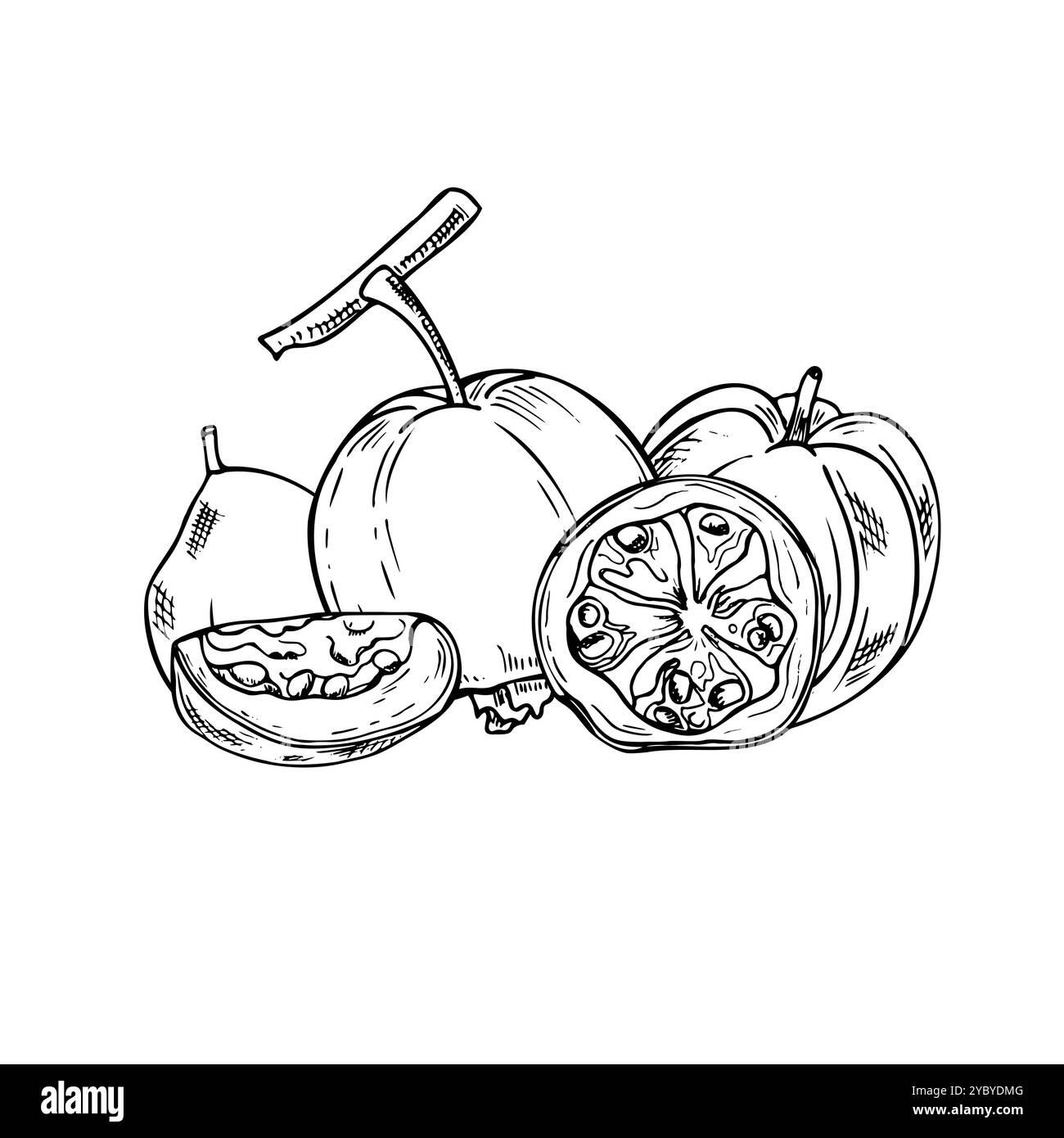 Vector guava hand drawn illustration in black and white graphic style ...
