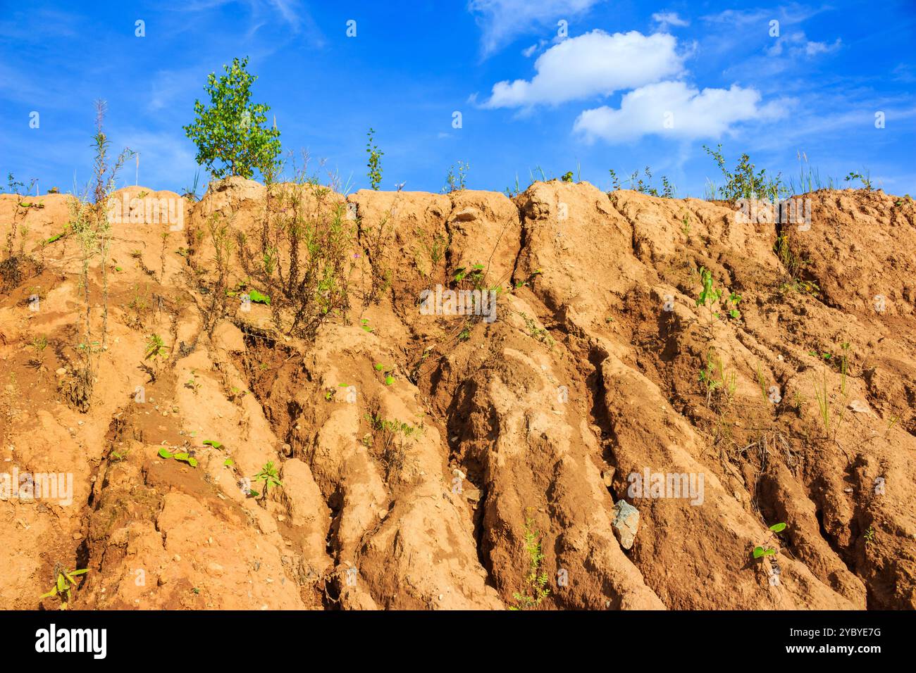 Sandy slope with traces of water flows, rain erosion Stock Photo - Alamy