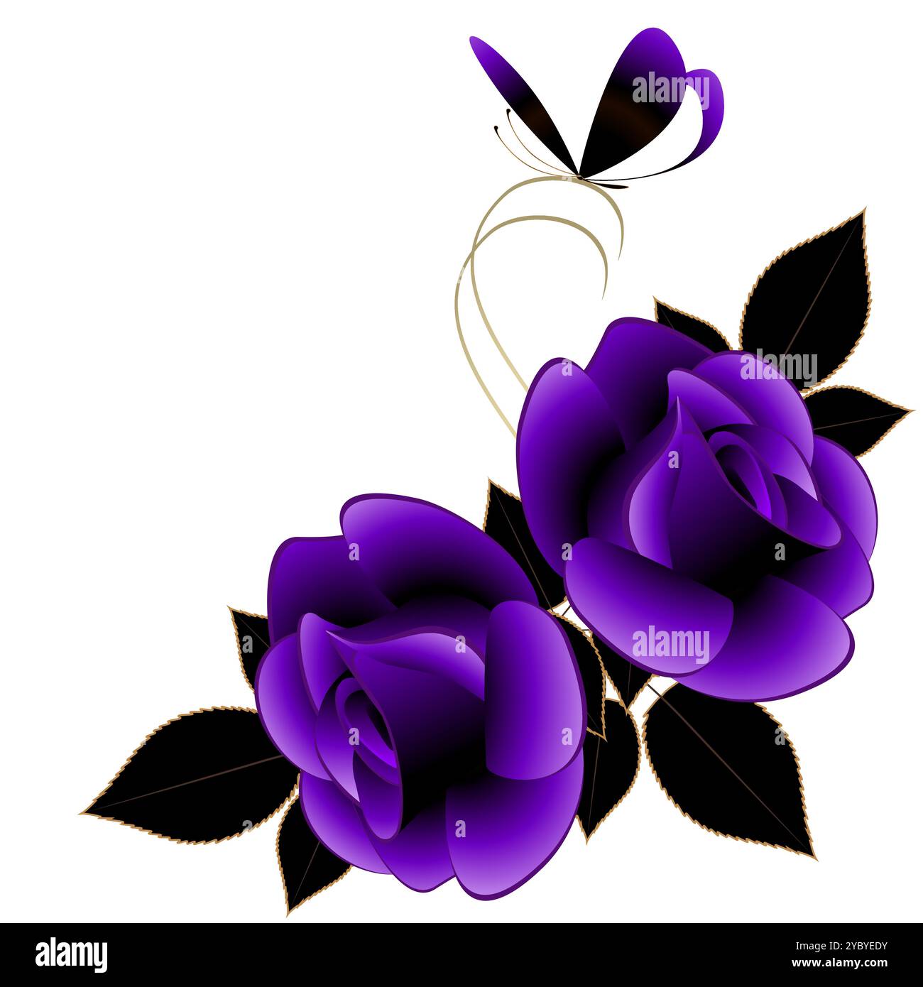 Corner composition with violet roses and butterfly, isolated on white ...