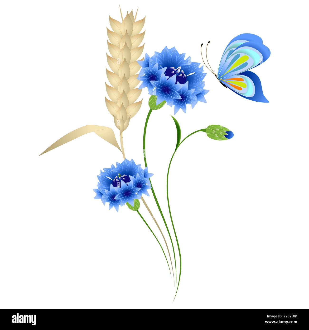 Cornflower field Stock Vector Images - Alamy