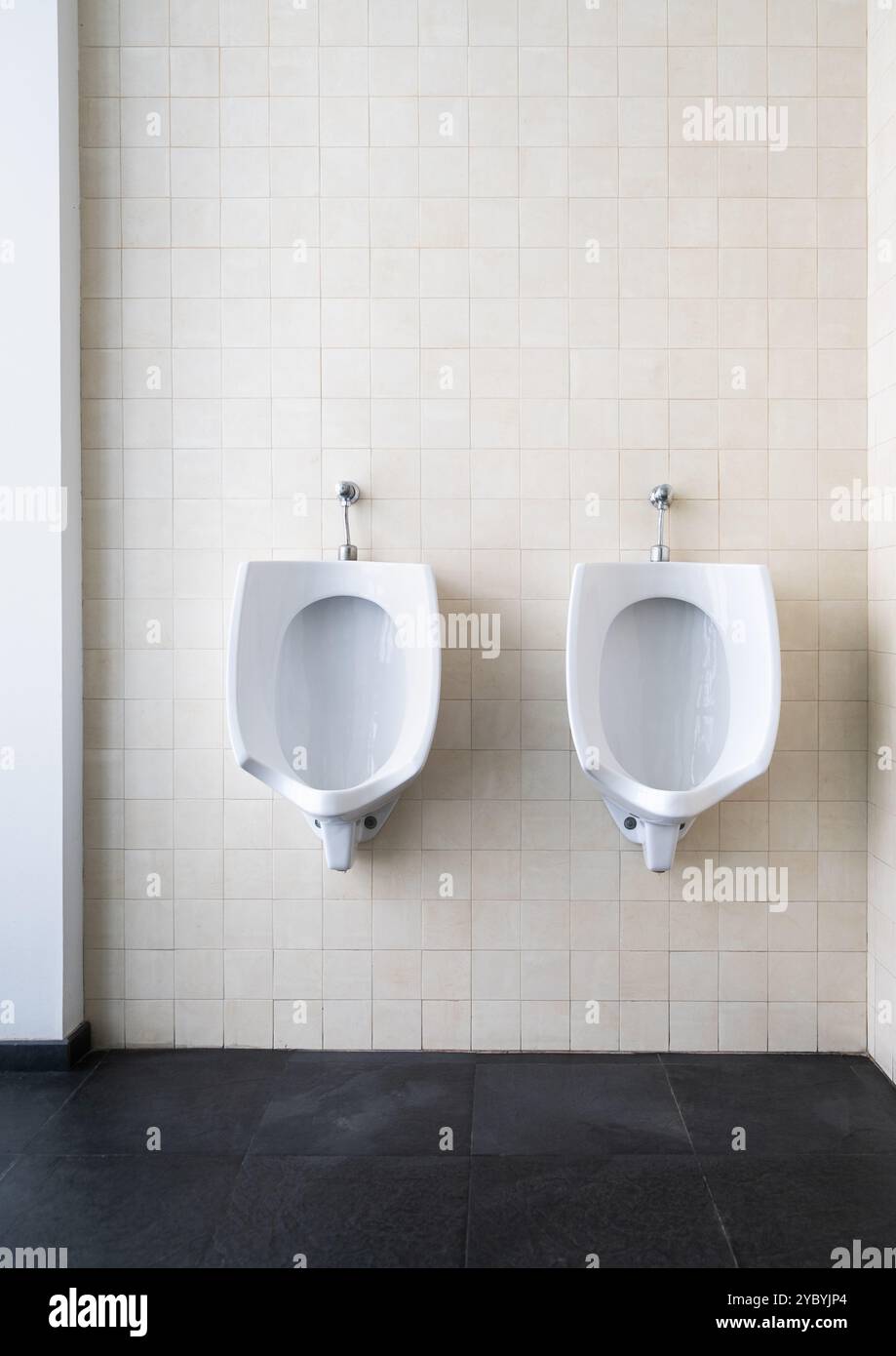 Vertical view of the interior of a public bathroom with two urinals for ...