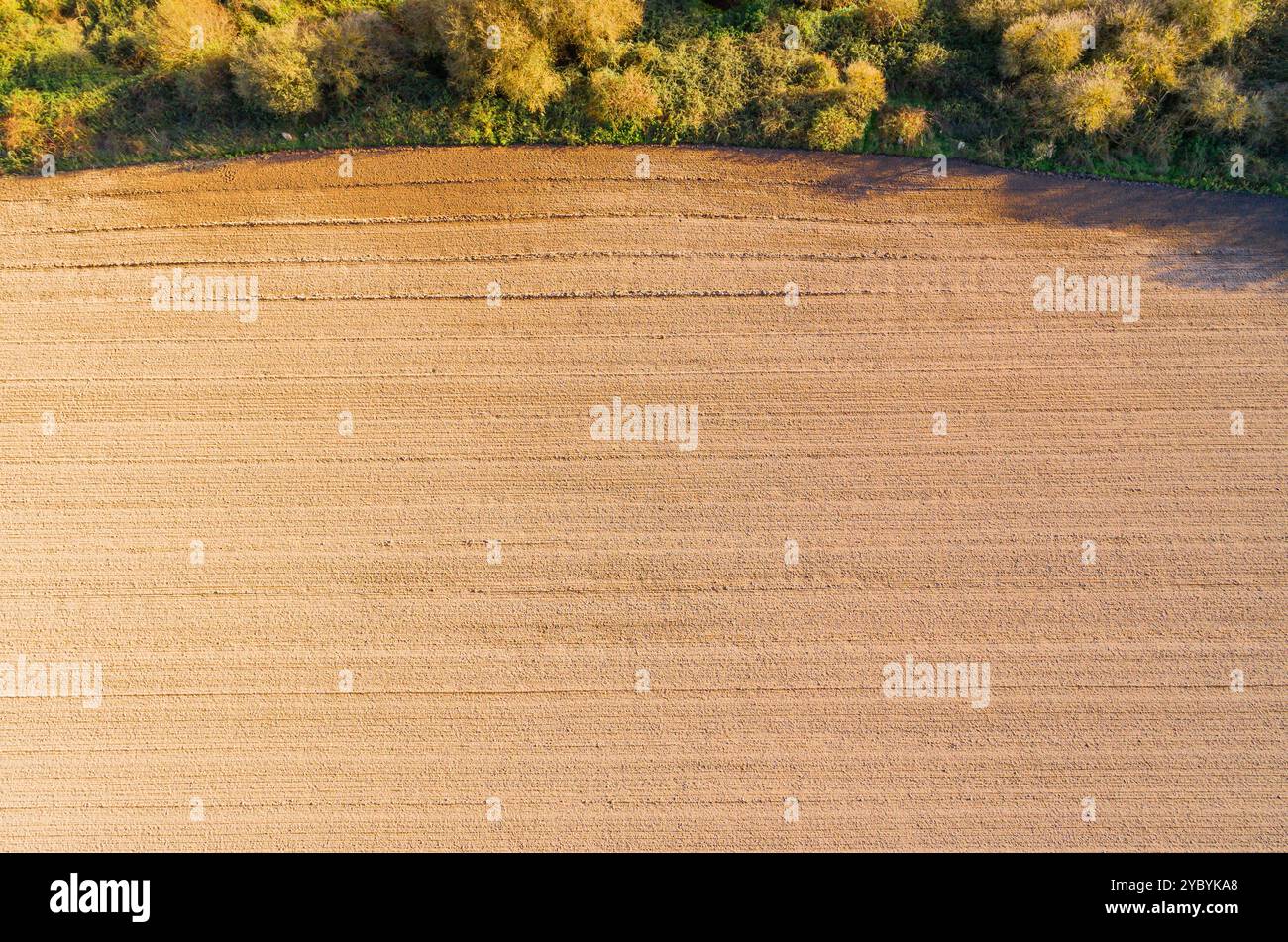 agricultural field freshly plowed for cultivation, aerial zenithal view ...