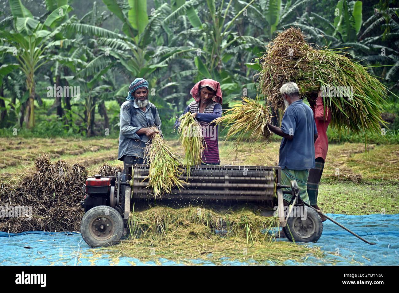 Bogura bangladesh hi-res stock photography and images - Alamy