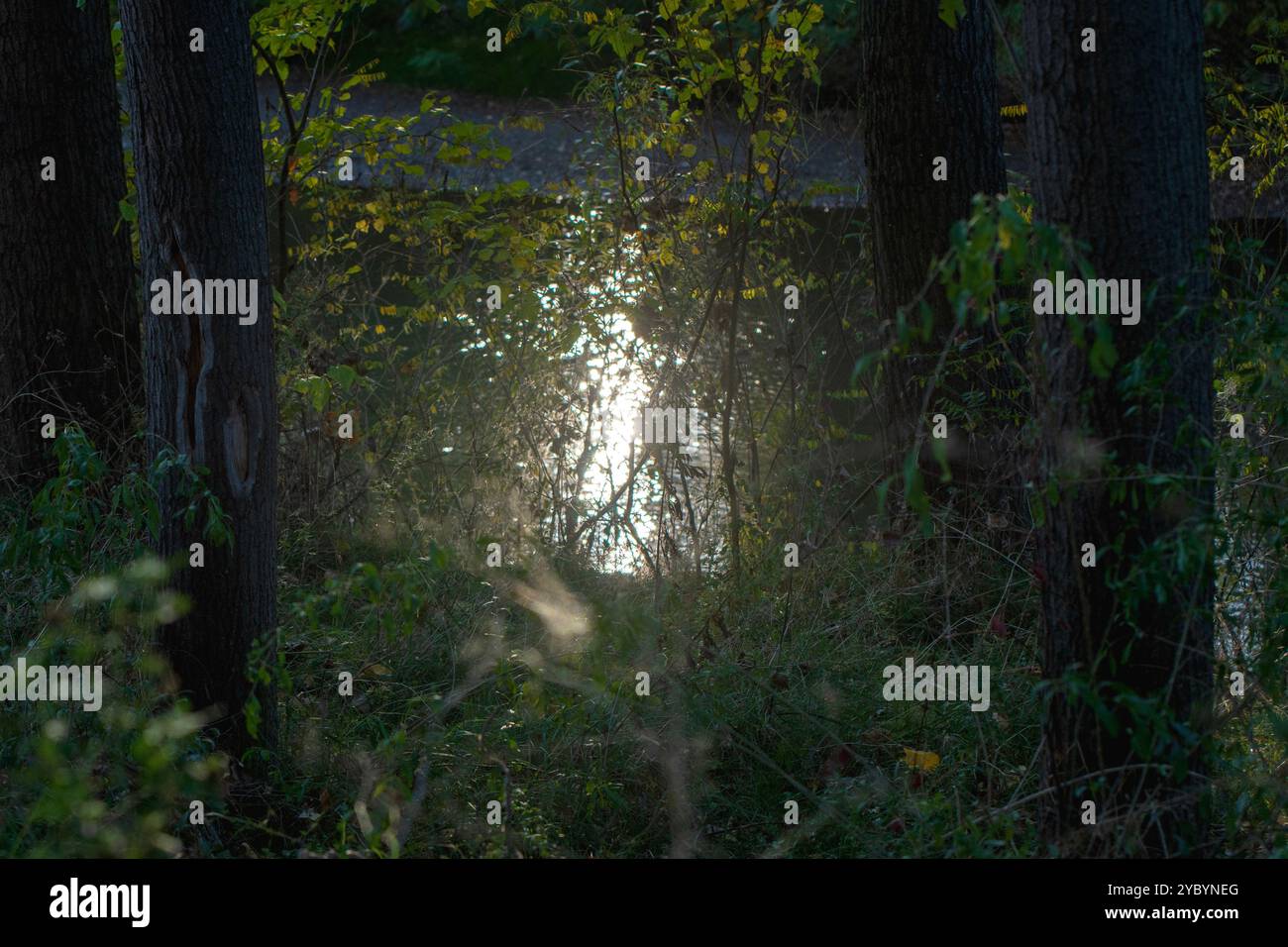 Reflective moment in frame hi-res stock photography and images - Alamy