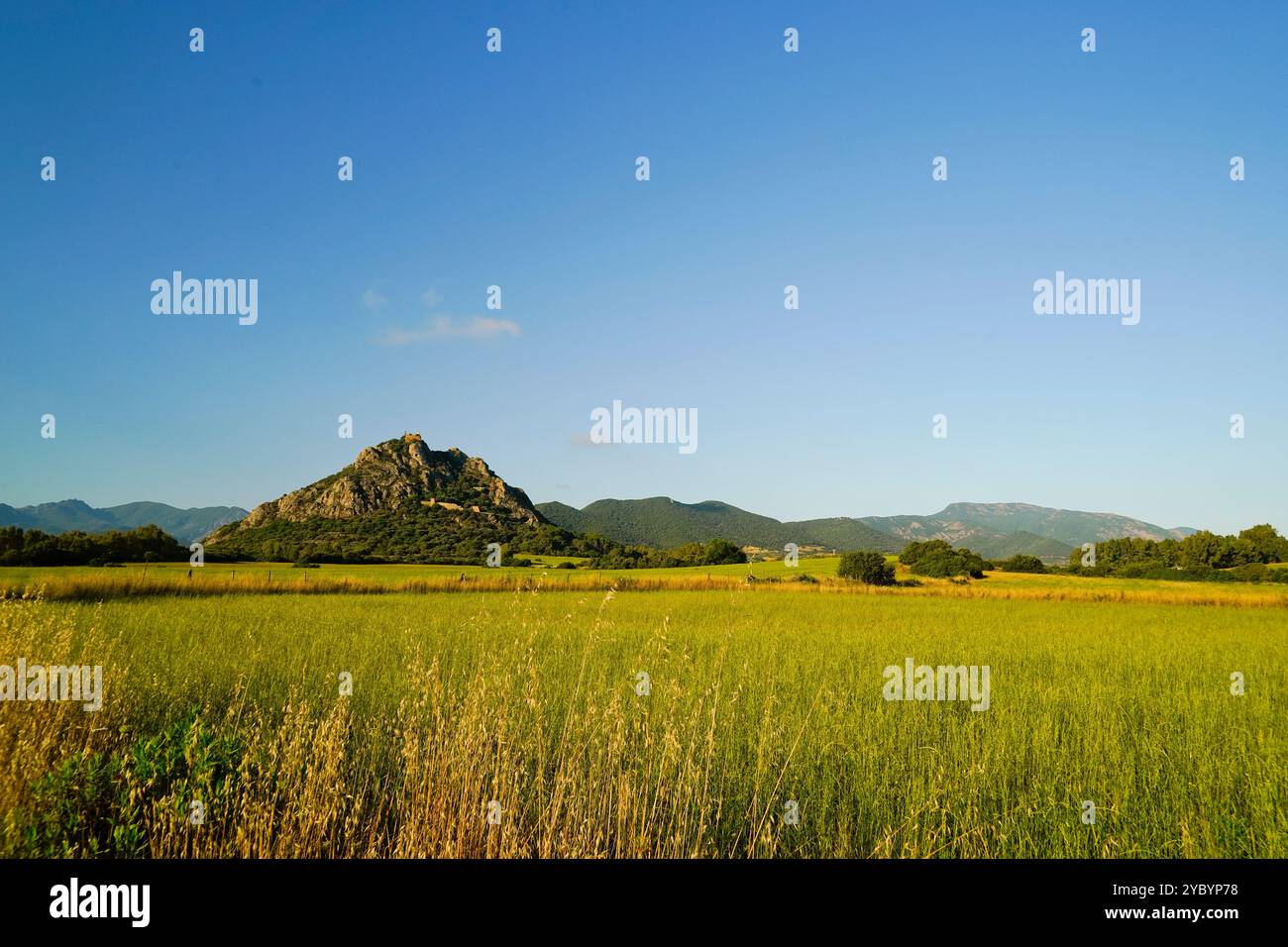 The Acquafredda Castle in Siliqua, built by Ugolino Della Gherardesca ...