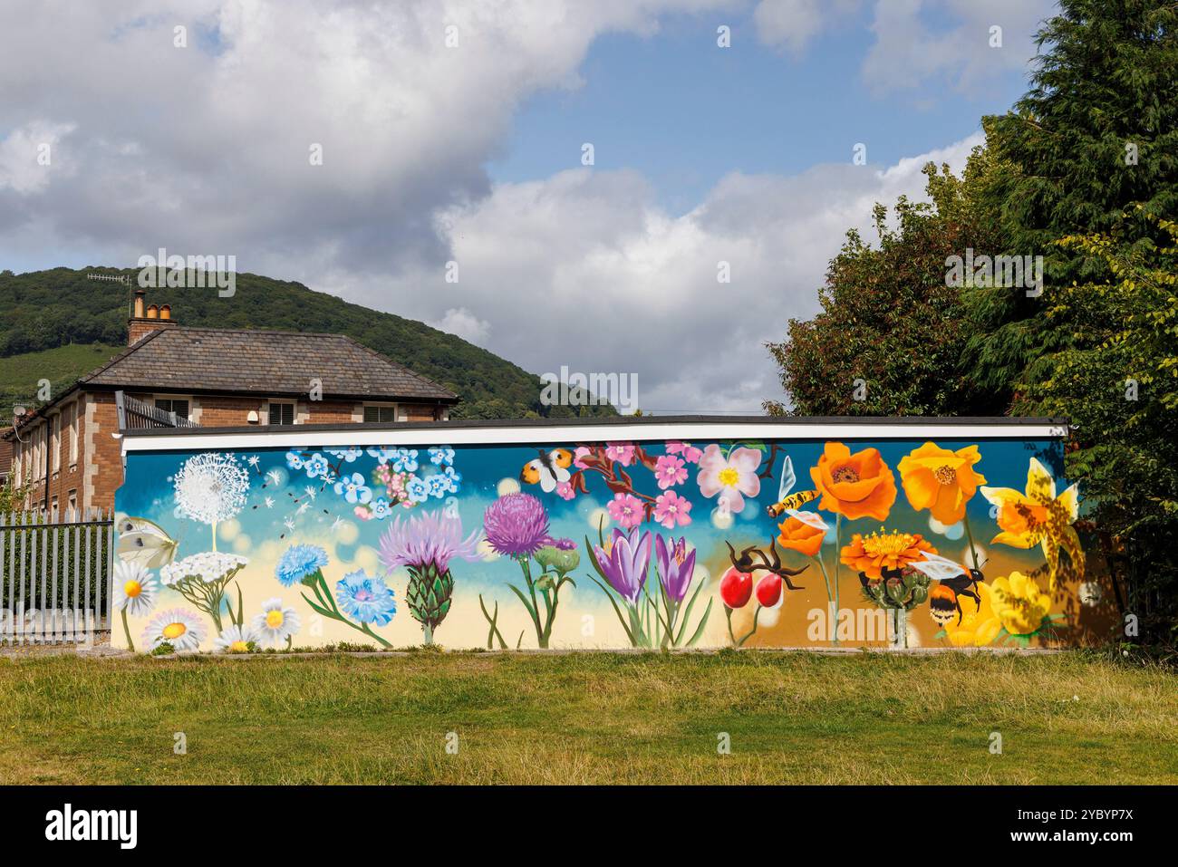 Wildlife mural, Bailey Park, Abergavenny, Wales, UK Stock Photo - Alamy