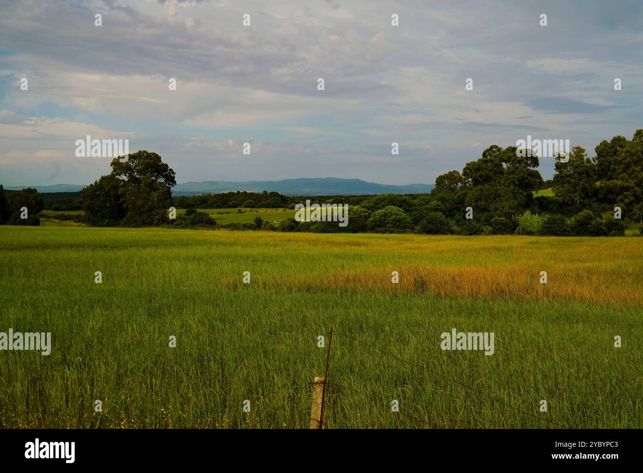 The Acquafredda Castle in Siliqua, built by Ugolino Della Gherardesca ...