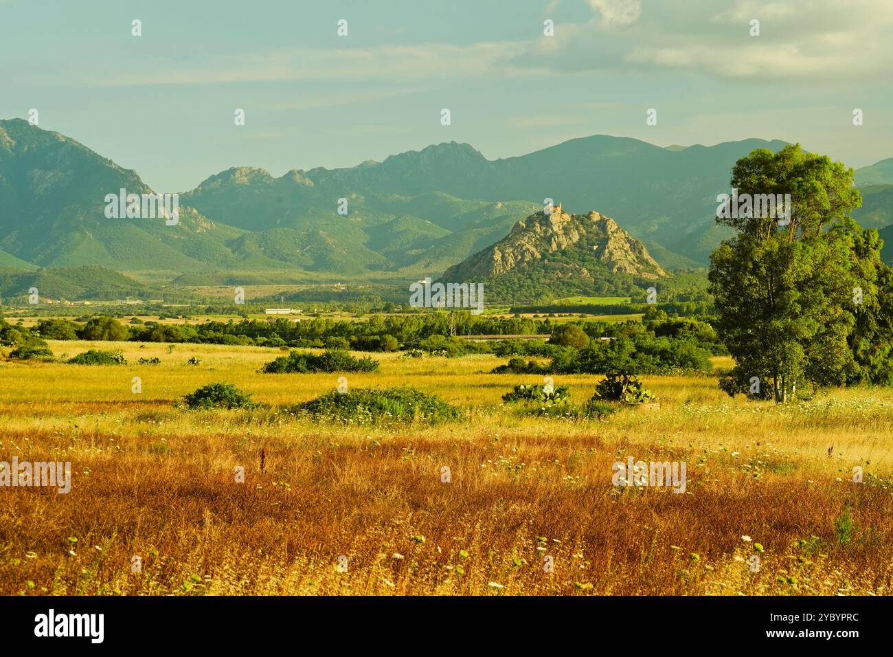 The Acquafredda Castle in Siliqua, built by Ugolino Della Gherardesca ...