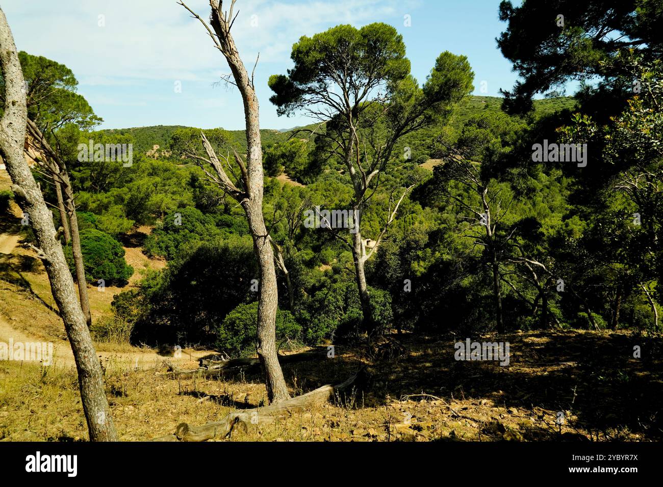 The abandoned mine of Monte Onixeddu, in Gonnesa, Sulcis Iglesiente ...