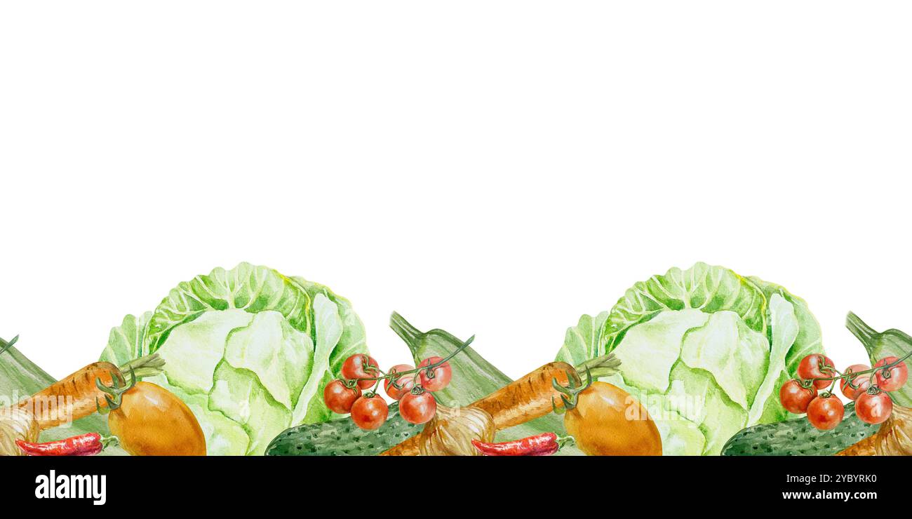 Vegetable seamless border. Cabbage, tomato, carrot, onion, zucchini ...