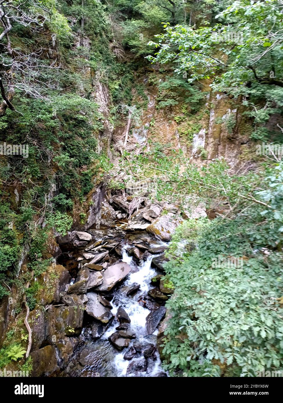 Welsh forest exploration hi-res stock photography and images - Alamy