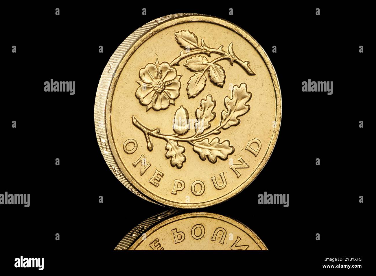 2013 Floral Emblems £1/ Part of a set of 4 to represent each country of ...